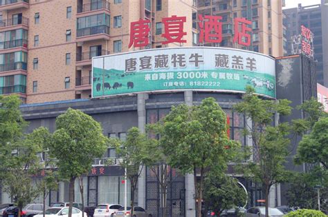 武汉中建汤逊湖壹号 中建汤逊湖壹号 中建汤逊湖壹号水 大山谷图库
