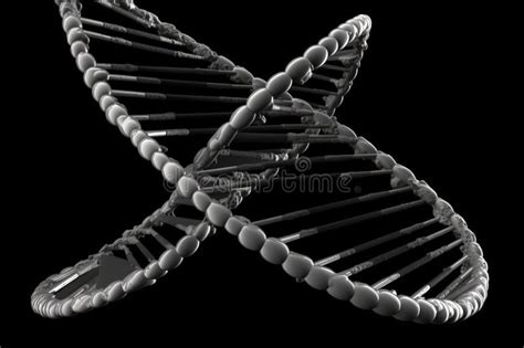 Dna Double Helix Twisting And Unwinding Revealing Its Full Structure Stock Image Image Of