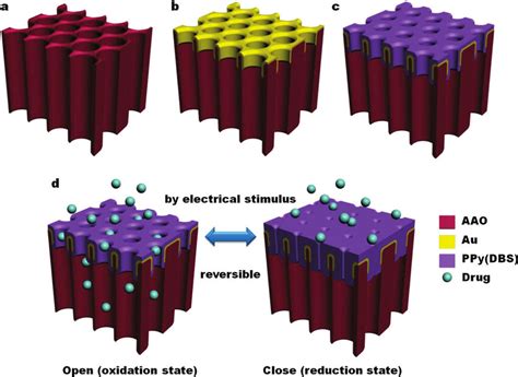 Scheme Of The Electrically Responsive Nanoporous Membrane Developed By