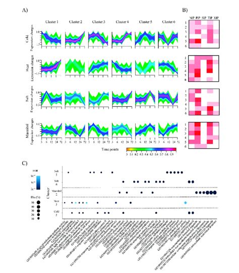 Expression Clustering And Gene Ontology Go Enrichment Analyses Of Download Scientific Diagram