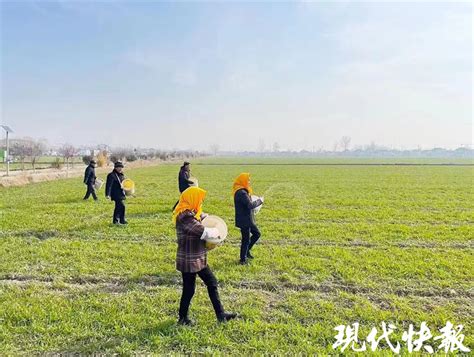 总书记参加江苏代表团审议时何以强调苏湖熟天下足 现代快报网