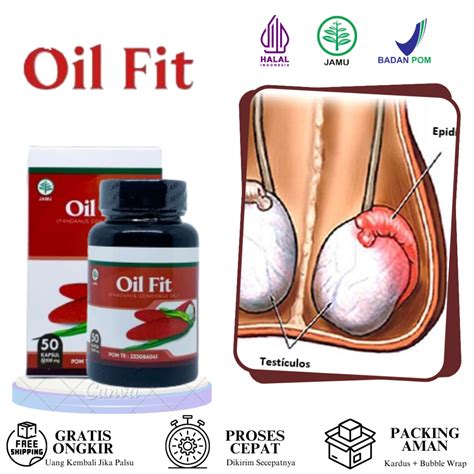 Jual Obat Orchitis Peradangan Testis Buah Zakar Nyeri Testis Bengkak