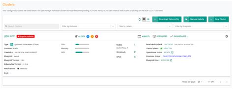 Deploy And Use GPU Simulator Software Rafay Product Documentation