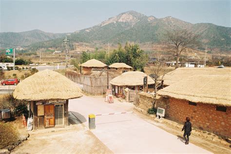 필름카메라로 찍은 사진들 40 데이터주의 인스티즈instiz 일상 카테고리