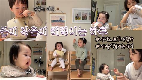 큰애 작은애 해먹이는 하루 모음 아기먹방 23개월아기와 6개월아기 육아vlog 유아식 레시피 연년생 장점 Youtube