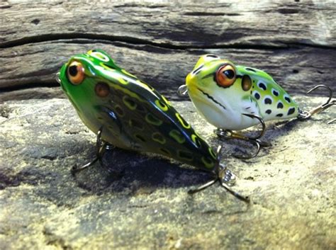 Smith Mountain Lake Fishing Bass Fishing With Frogs On Smith Mountain Lake