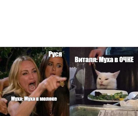 Комикс мем Руся Виталя Муха в ОЧКЕ Муха Муха в молоке Комиксы Meme