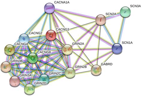 Functional Enrichment And Network Analysis For Proteins Regulated By Download Scientific