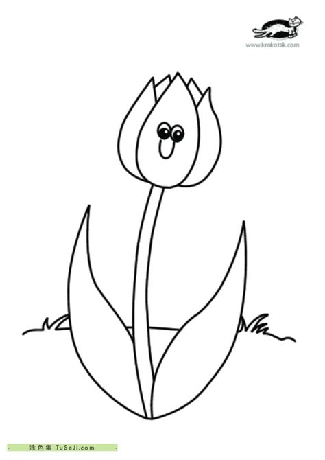 10张叶子玉米大树榛果郁金香水仙花有趣的涂色儿童简笔画！ 涂色集，涂色画打印大图