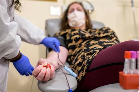 Mohsen Sheykhhasan On Linkedin Donating Bone Marrow And Stem Cells The Process And What To Expect