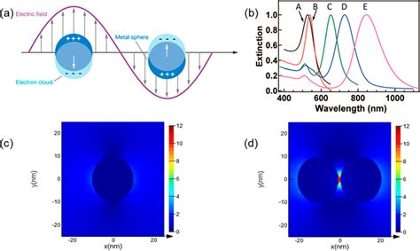 A Schematic Illustration Of Localized Surface Plasmon Resonance Of Download Scientific