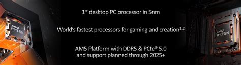 Next Gen AM Platform Here To Stay As AMD Pledges Support Until Club