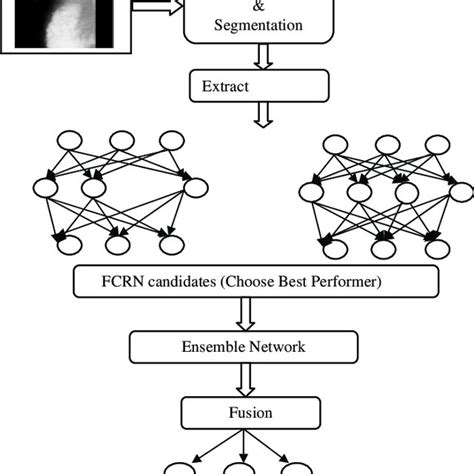 Fcrn Based Ensemble Classifier Download Scientific Diagram
