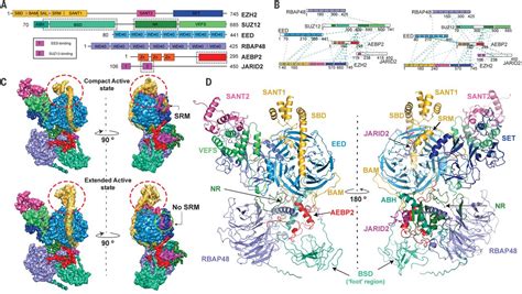 Structures Of Human Prc2 With Its Cofactors Aebp2 And Jarid2 Science
