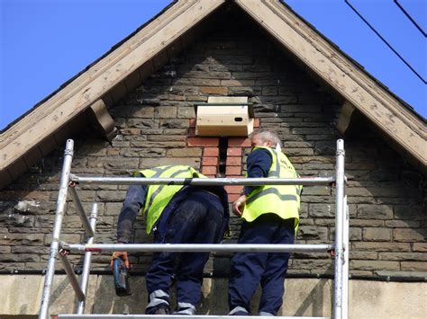 Glamorgan Swift Champions Swift Boxes