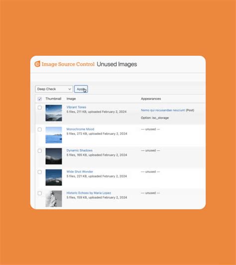 Deleting Unused Images In WordPress A Guide To Cleaner Faster Websites