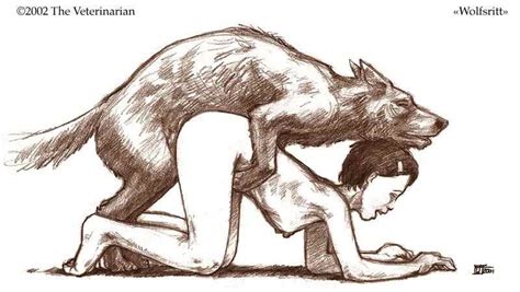 Rule 34 Bestiality Canine Doggy Style Female Feral From Behind Human