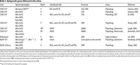 Table 1 From Emerging Gene Therapies For Retinal Degenerations Semantic Scholar
