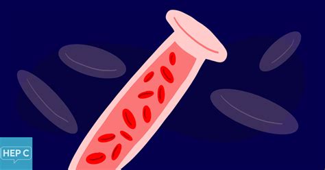 Understanding Your Hep C Test Results Complete Blood Count