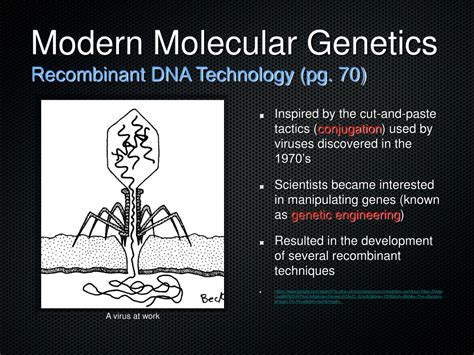 Ppt Modern Molecular Genetics Powerpoint Presentation Free Download