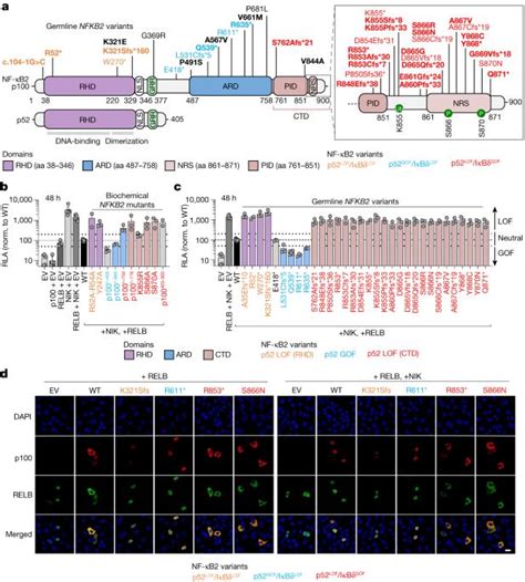 Adrian Gervais Phd On Linkedin Autoantibodies Against Type I Ifns In