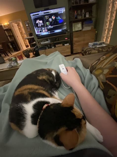 [botw] Sleeping With Paya Zelda