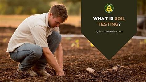 What Is Soil Testing Principles Methods Analysis
