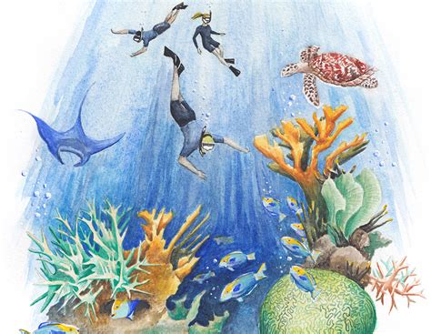 Marine Ecosystem Pictures Drawing