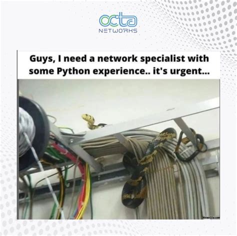 Octa Networks On Linkedin Cisco Python Ccna Ccnp Ccie Devnet Octanetworks Meme Networking