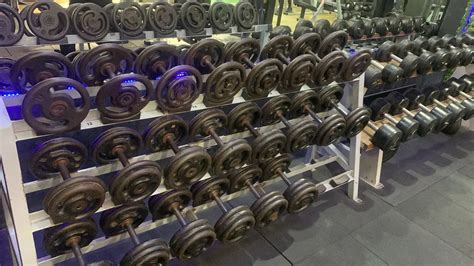 Halteres De Academia Diversos Pesos Academia E Exercícios