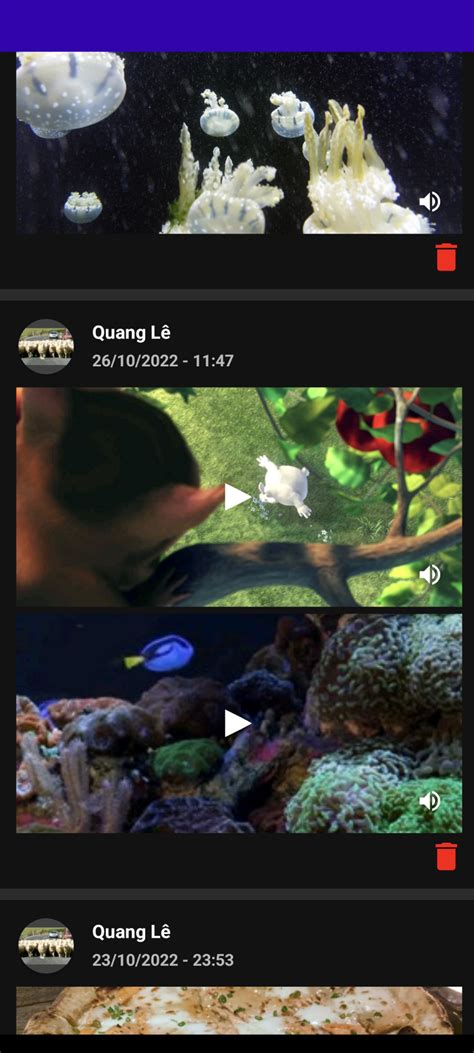How To Reuse An Exoplayer Inside A Recyclerview That Each Item Has Multiple Videos · Issue