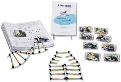 LA71 The Molecular Model Of DNA And Its Replication