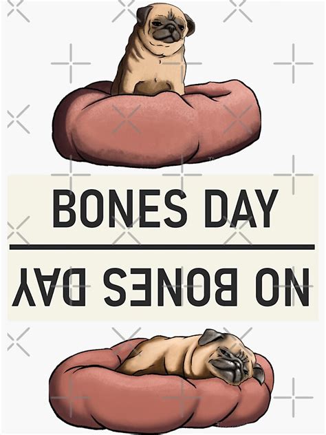 Bones Day No Bones Day Bones Or No Bones Noodle The Pug Treat