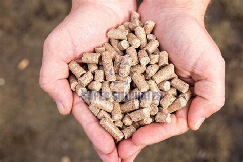 Feed Grade Copper Sulphate Manufacturer Exporter Supplier From Vapi India