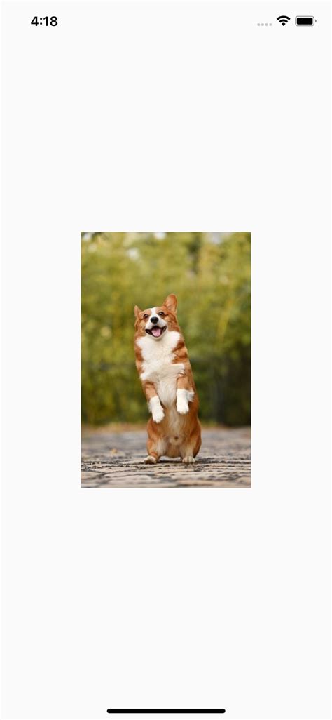 Flutter Containerのboxdecorationで画像imageを設定するには？ ちょげぶろぐ