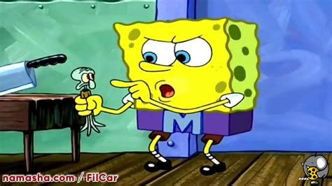 باب اسفنجی مرد دریا و پسر صدفی فیلو