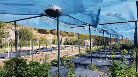 ΑΠΟ ΠΑΛΙΟ ΔΙΧΤΥ ΕΛΛΗΝΙΚΕΣ ΜΕΤΑΛΛΙΚΕΣ ΚΑΤΑΣΚΕΥΕΣ θΕΡΜΟΚΗΠΙΑΚΟΥ ΤΥΠΟΥ ΣΥΓΧΡΟΝΗΣ ΤΕΧΝΟΛΟΓΙΑΣ