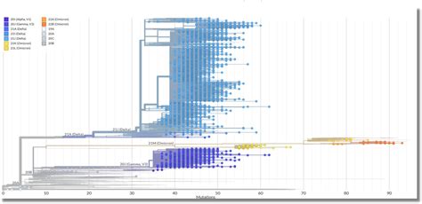 Figure 2 From In Silico Comparative Analysis Of Sars Cov 2 Mutations In