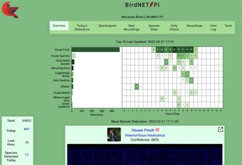 Birdnet Pi Acoustic Bi Birdingwiki