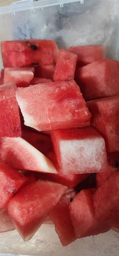 수박 맛난다 인스티즈 Instiz 일상 카테고리
