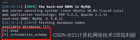 利用sqlmap实现 Sql 注入使用sqlmap自动化注入 Csdn博客 利用sqlmap实现 Sql 注入使用sqlmap自动化注入 Csdn博客