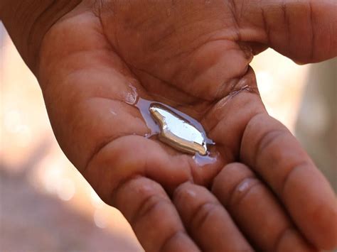 Mercury Element Toxic Symptoms