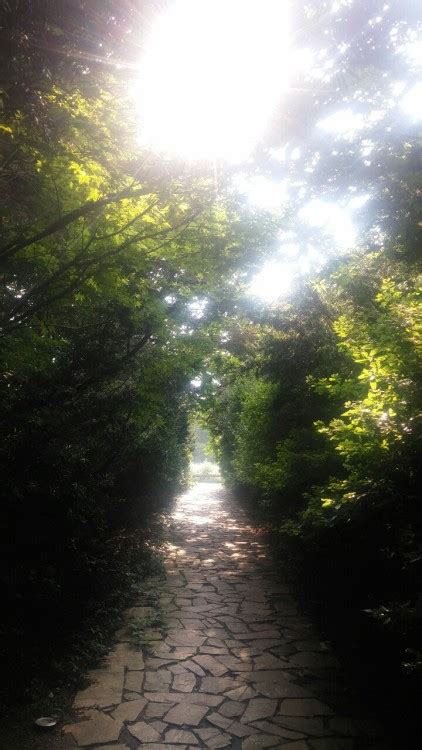 나의 실수는 사랑하게 될 운명을 어떤 주어진 사람을 Tumbex