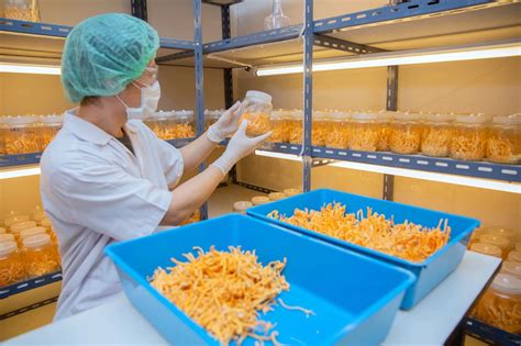 Moving Pf Tek Brf Cakes To Bulk Production Dos And Donts 🐝 Actionable