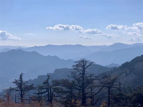 Vue同一个路由，不同参数的页面跳转问题 知乎