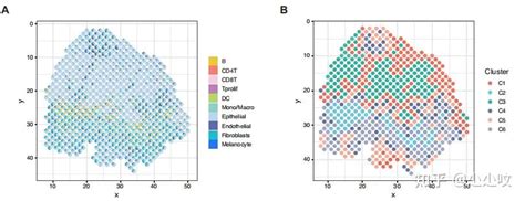 国产空转工具推荐 STRIDE使用scRNA seq对空间转录组进行精准的整合分析 知乎