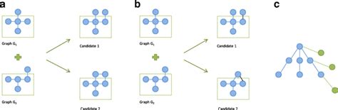 Grasping Frequent Subgraph Mining For Bioinformatics Applications