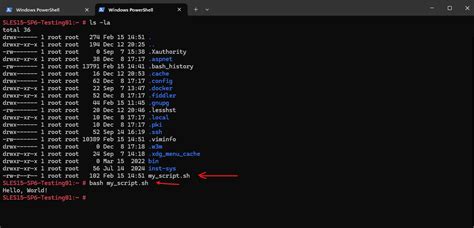 Linux Execute Shell Scripts Source Scriptsh Vs Scriptsh Vs Exec