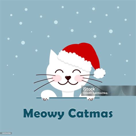 Meowy Catmas 카드 산타 모자를 쓴 흰 고양이 사각형 벡터 일러스트 레이 션 산타 클로스에 대한 스톡 벡터 아트 및 기타 이미지 산타 클로스 애완고양이