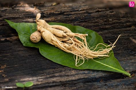 خواص جینسینگ برای پوست، زیبایی و سلامتی